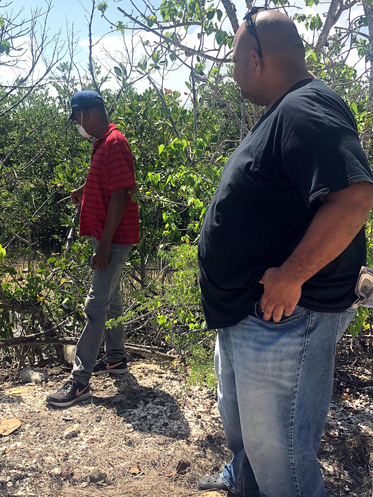 Could a solar-powered uprising reshape Puerto Rico? | Grist