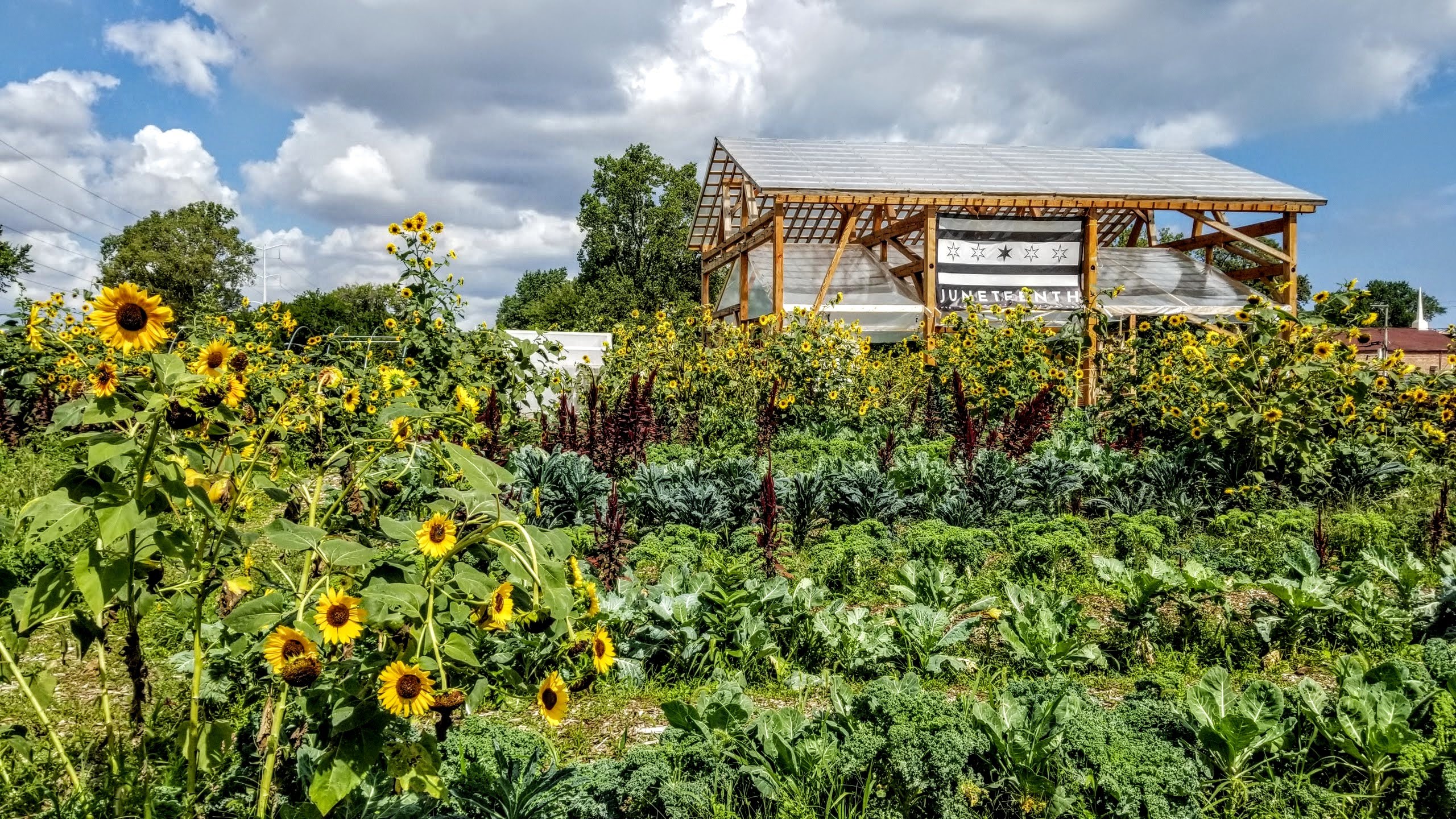 On Chicago's South Side, a community rises again | Grist