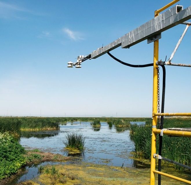 Want to prevent California's looming flood disaster? Grow a marsh. | Grist