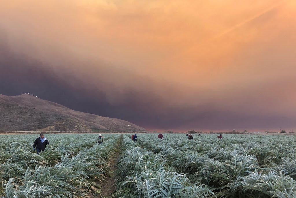 Wildfires are getting worse, and so is the deadly smoke they bring with ...