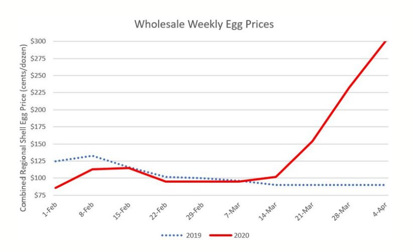 Coronavirus myth-busting: The truth about empty shelves and toilet paper shortages | Grist