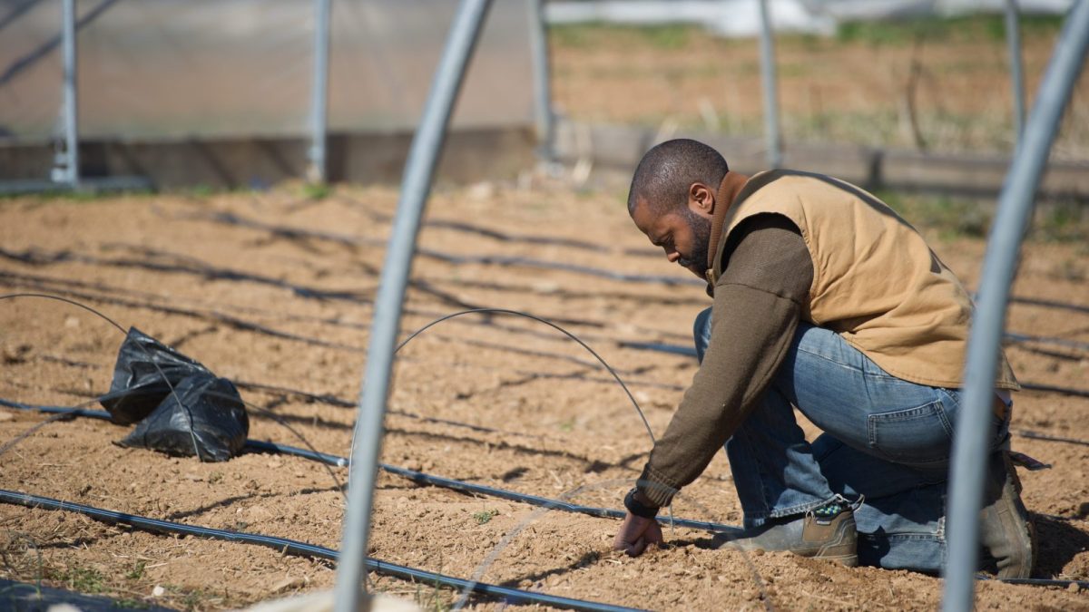 White people own 98% of rural land. Young Black farmers want to reclaim ...