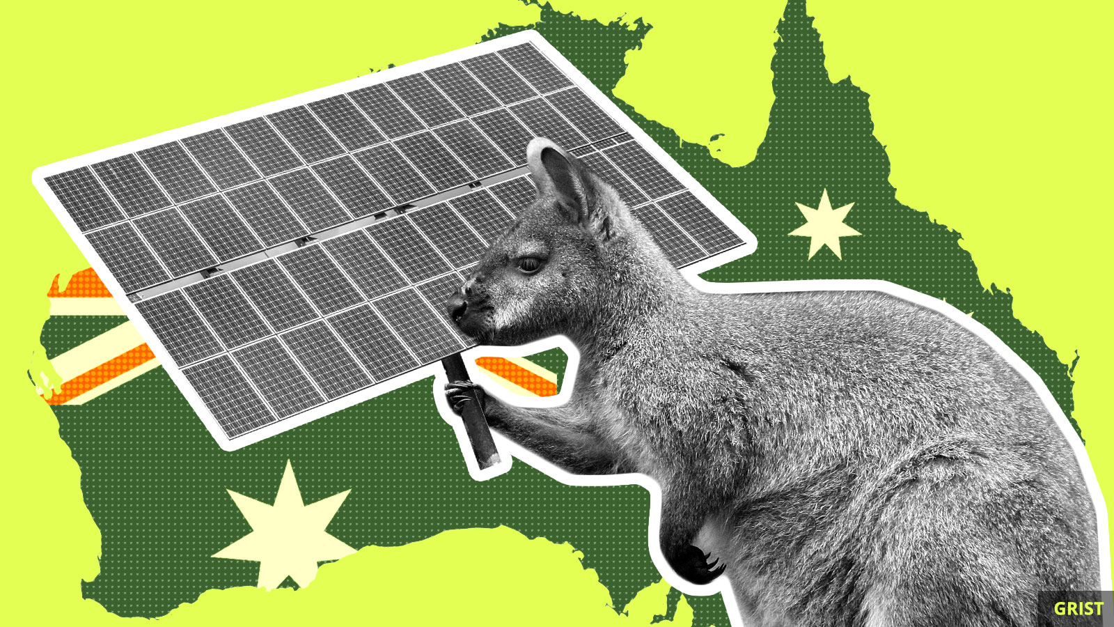 Sydney says checkmate to fossil fuels - Grist | Grist