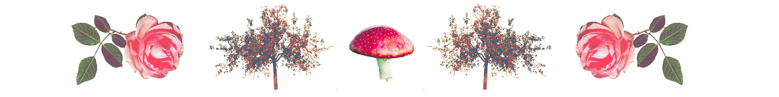 Why is cottagecore so white? | Grist