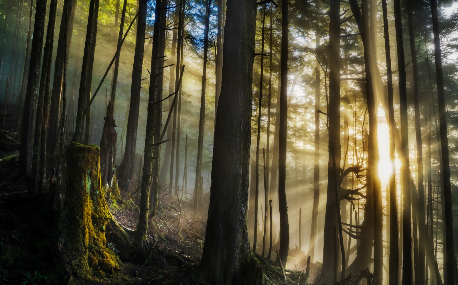 Wanda Kashudoha Loescher Culp and Osprey Orielle Lake | Grist
