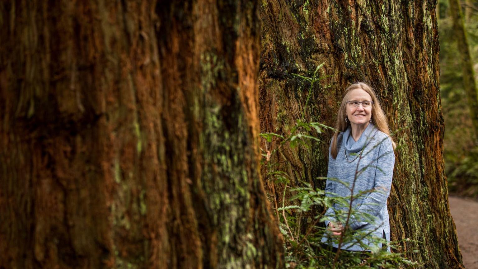 Washington state has a blueprint for climate success, but its region's ...