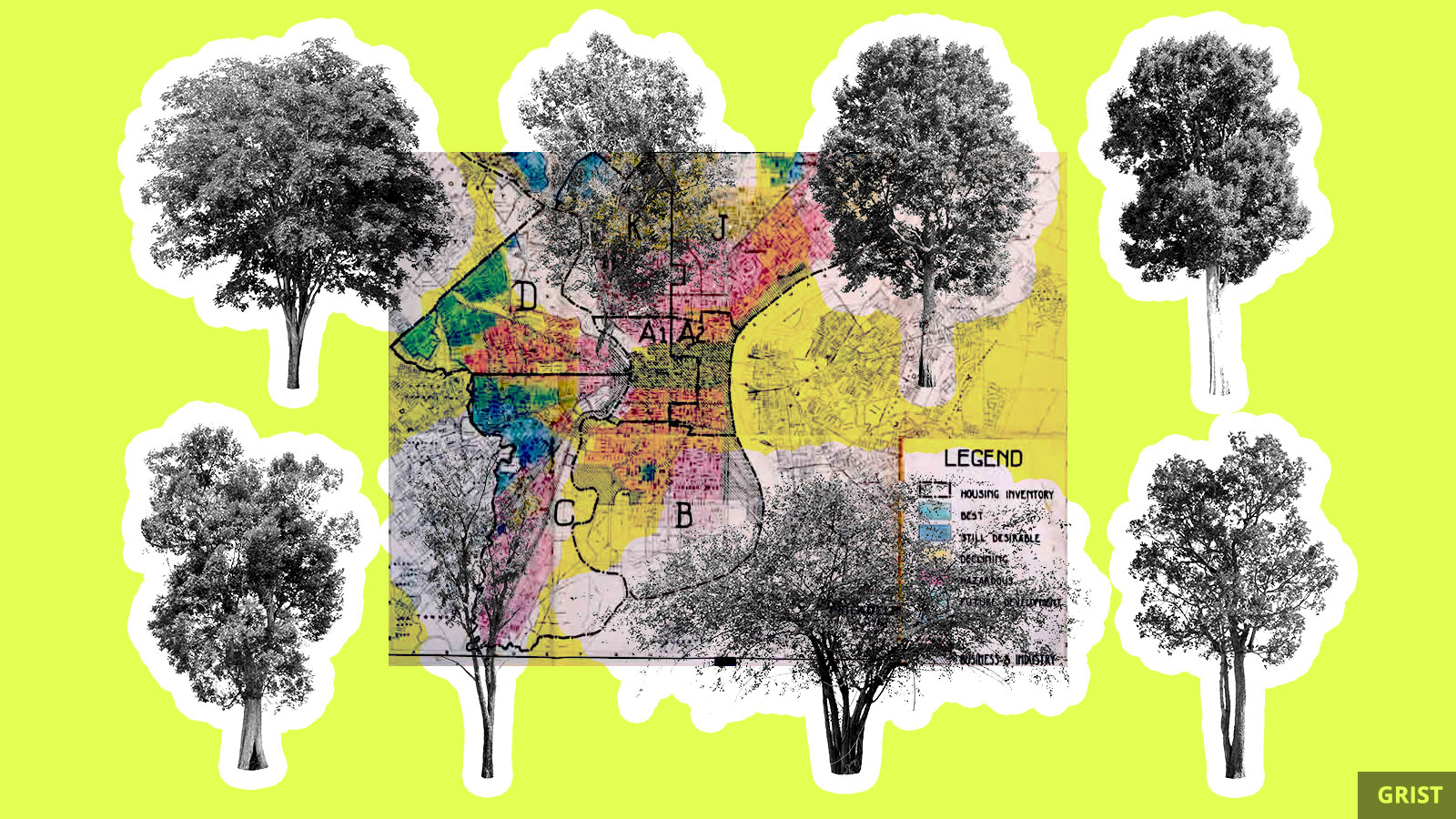 Tackling tree equity - Grist | Grist
