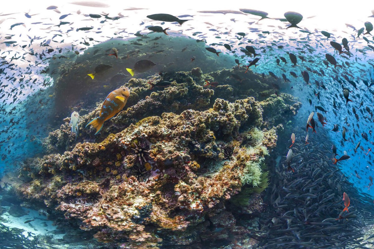 The 7 climate tipping points that could change the world forever ...