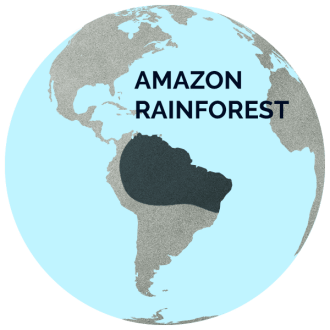 The 7 climate tipping points that could change the world forever ...