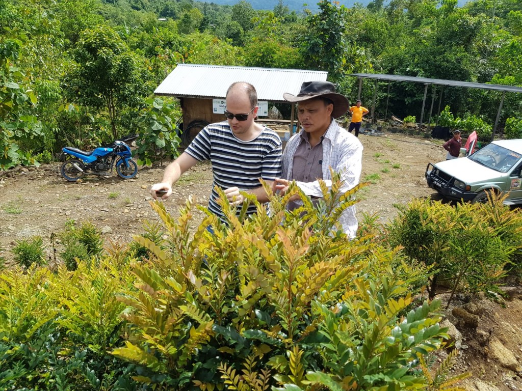 Phytomining: The plant-based solution growing on the minin industry | Grist