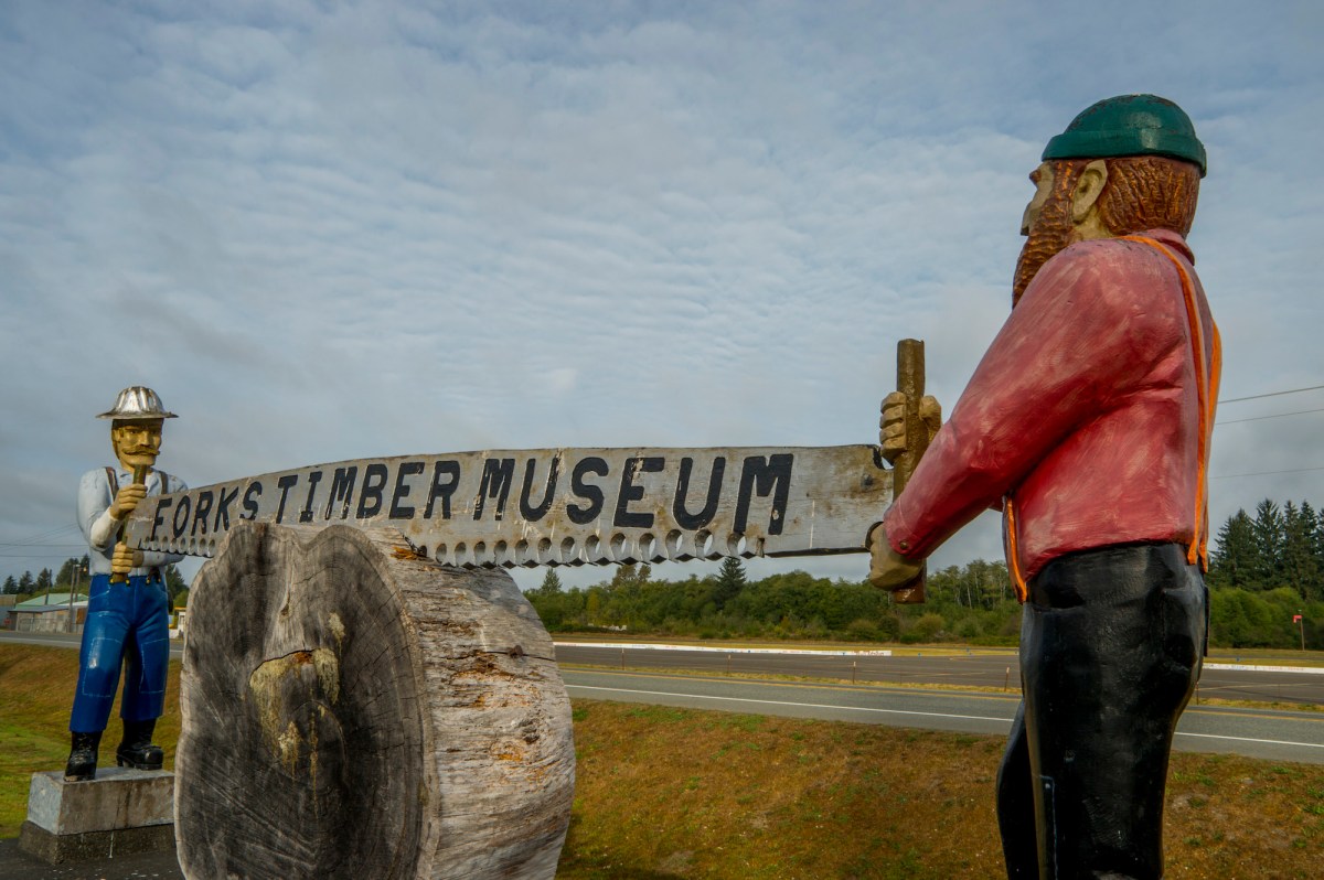 The 'Twilight' romance no one talks about | Grist