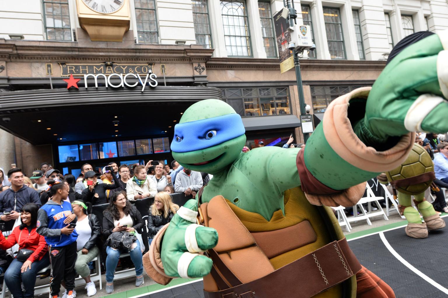 How reptiles in the city went from native species to urban legend | Grist