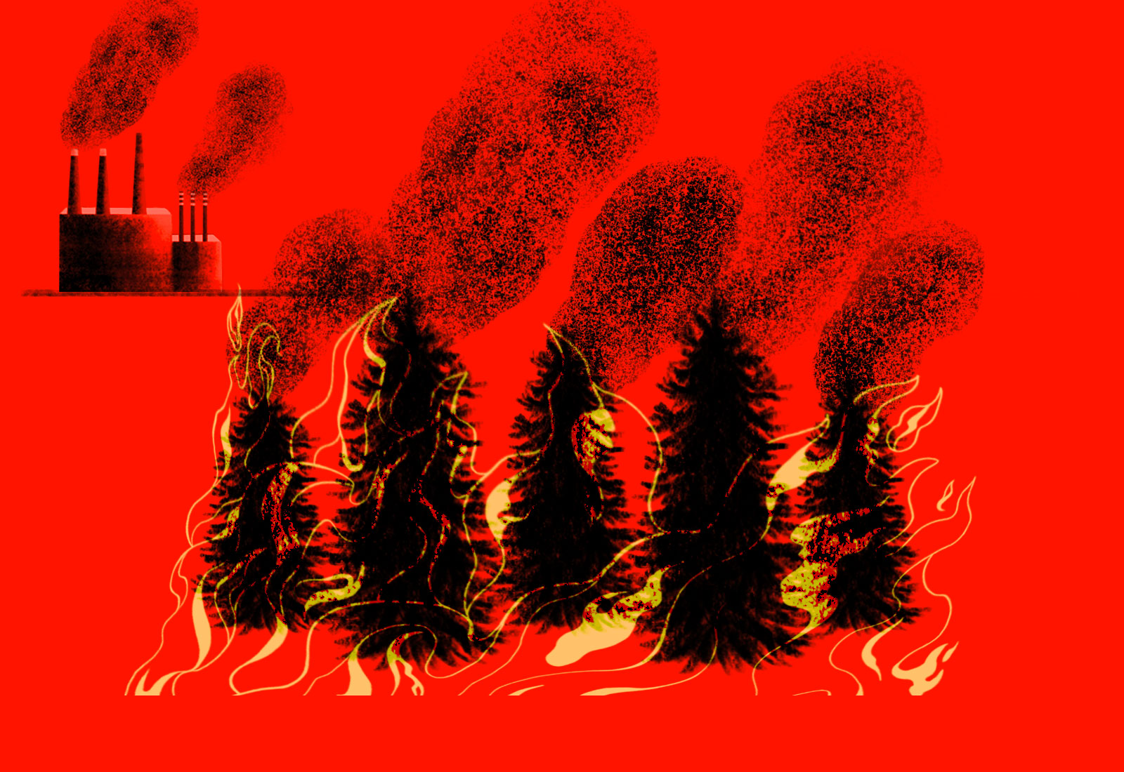 The forests backing California's carbon offsets are burning up | Grist