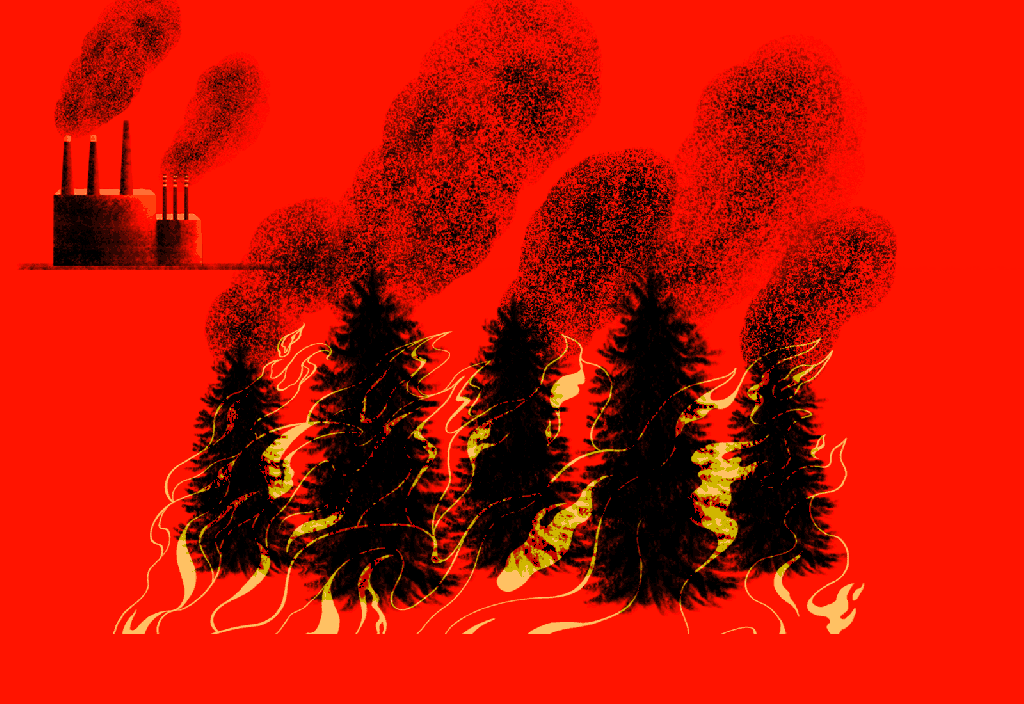 Fire is responsible for a quarter of US forest loss since 2021 | Grist