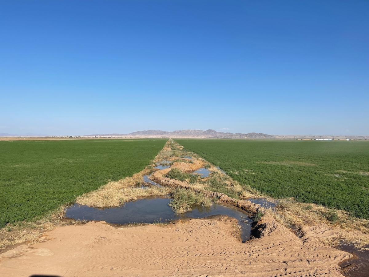 The Colorado River is drying up. Here's how that affects Indigenous ...