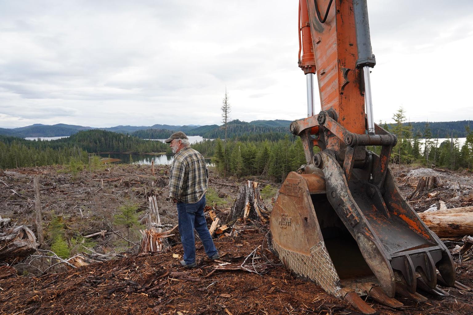 A logging loophole is clear-cutting the Tongass National Forest - Grist ...