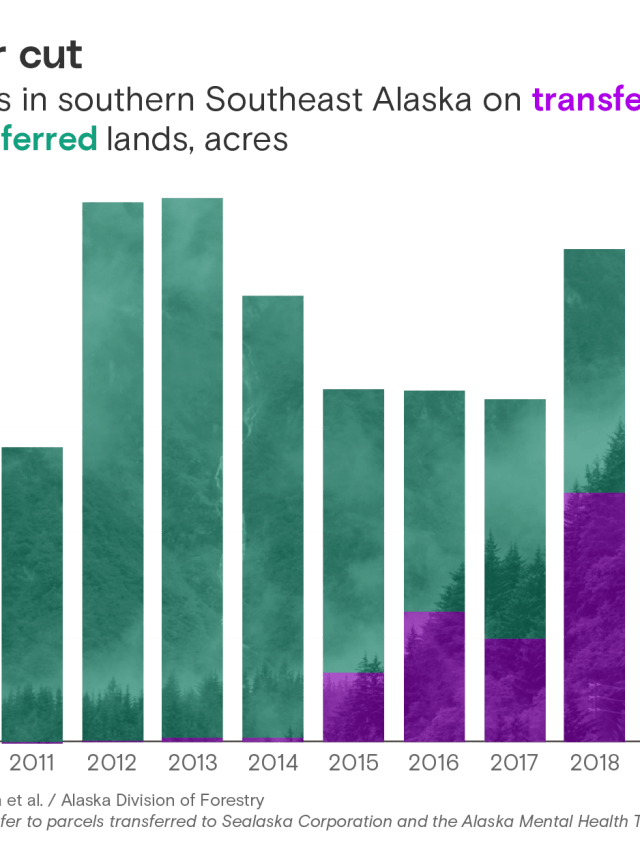 A logging loophole is clear-cutting the Tongass National Forest - Grist ...
