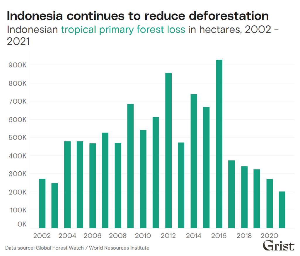 Despite COP26 pledges, the world is losing way too many trees | Grist