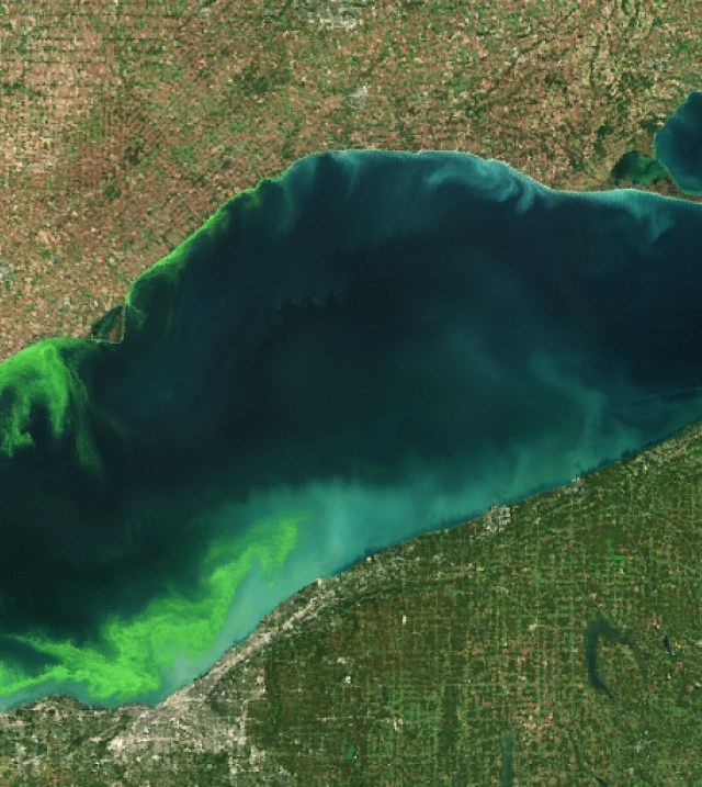 Poisonous algal blooms are driving up drinking water fees in the ...