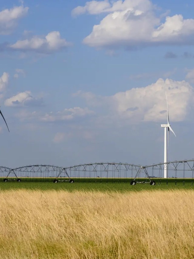 West Texas farmers and ranchers fear the worst as drought, heat near ...