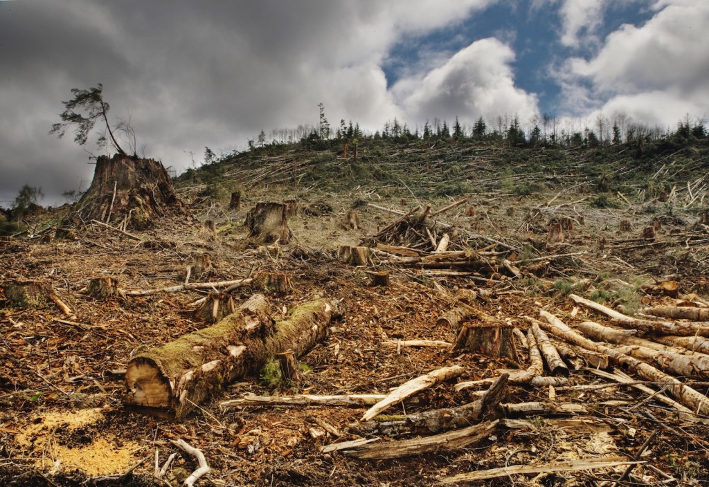 Grist.org: Climate. Justice. Solutions. | Grist