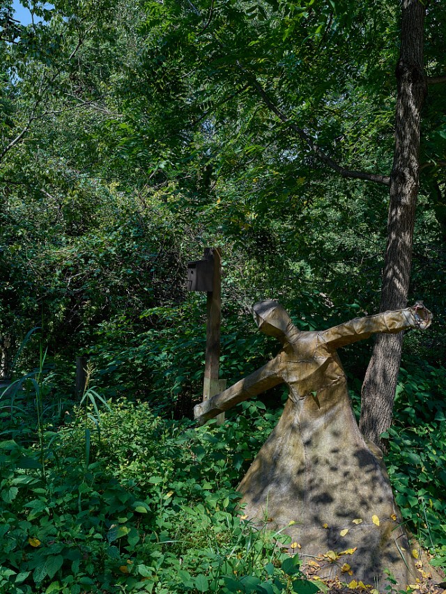 How foraging for edible plants helped me connect with my roots | Grist