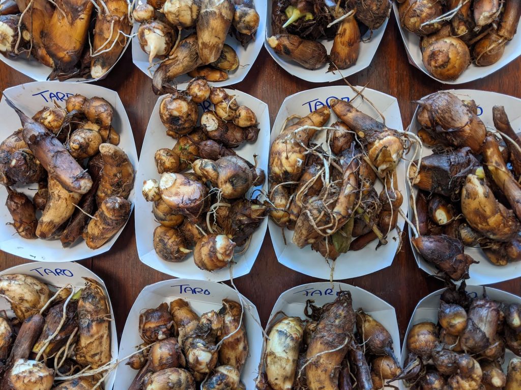 As North Carolina warms, one farm is turning to a tropical crop: Taro ...