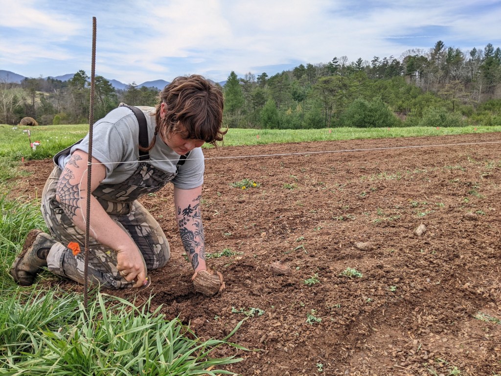 Farming without water | Grist