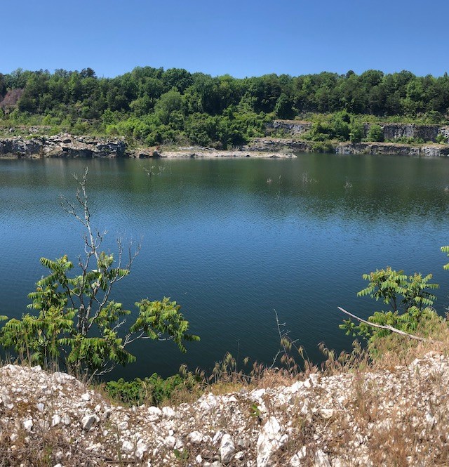 The electric vehicle boom could bring lithium mines back to North ...