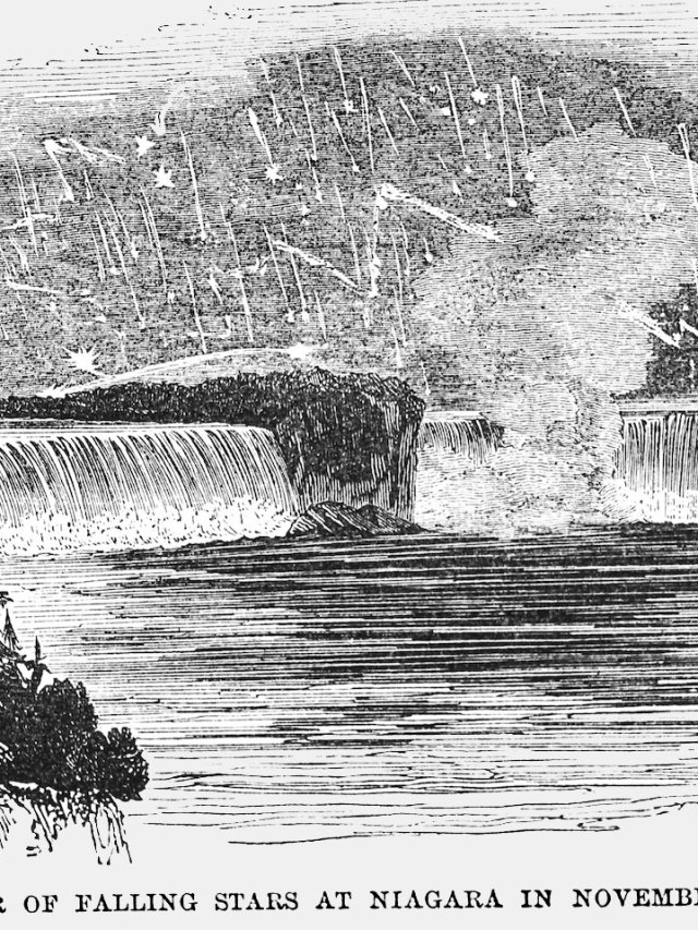 Nights are getting brighter. Here’s why that’s a problem | Grist