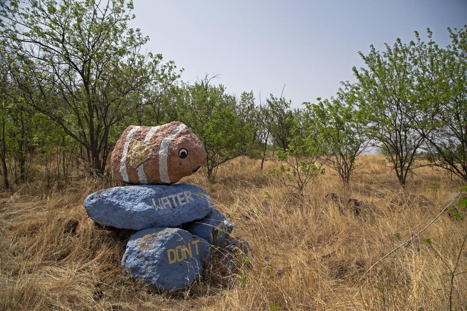 The rebirth of Hiware Bazar | Grist