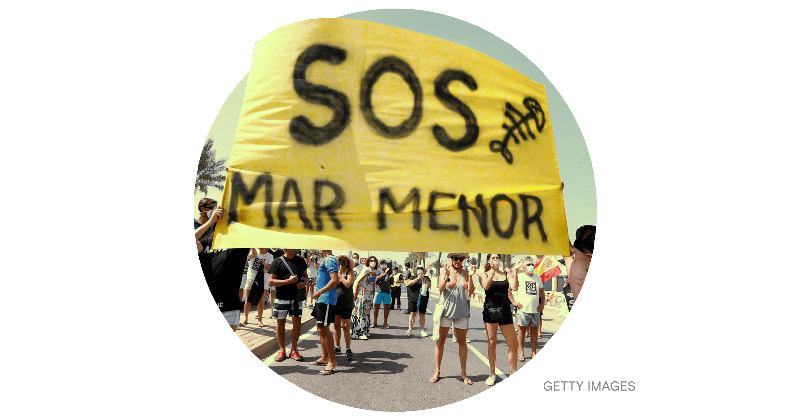 Saltwater lagoon granted legal personhood - Grist | Grist