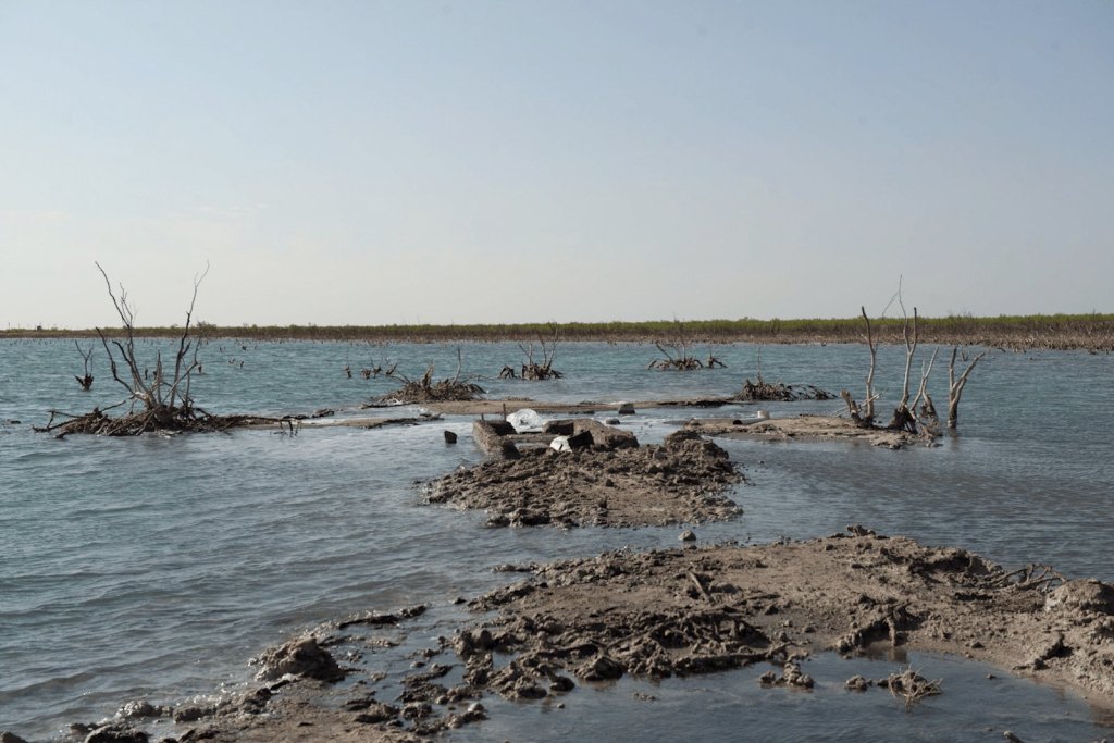 Abandoned Texas oil wells are blowing out. The state won't fix them ...