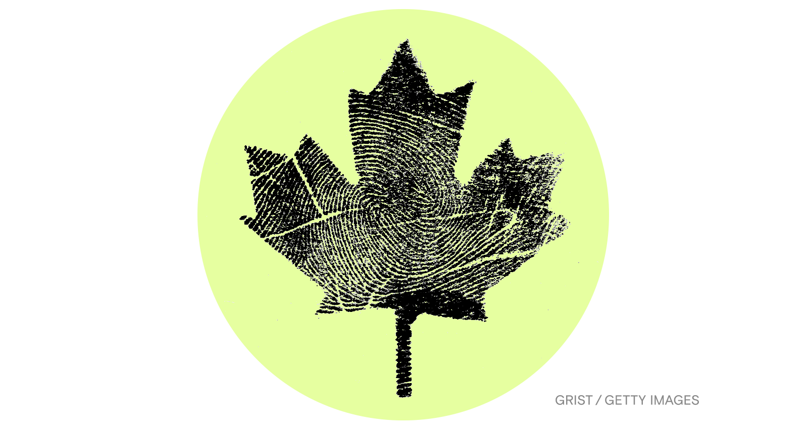 Canada unveils climate adaptation plan - Grist | Grist