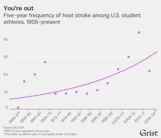 Lessons from the World Cup: How a changing climate is changing sports ...