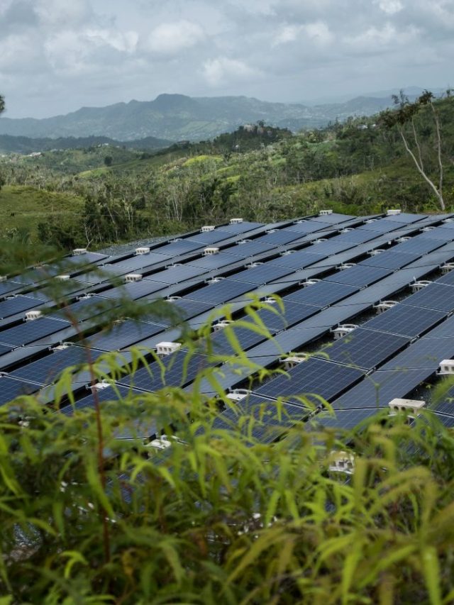 White House asks for $3 billion for solar power on Puerto Rico | Grist