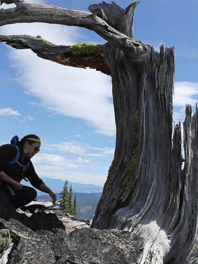 Lessons from the Flathead Reservation's comprehensive climate plan | Grist