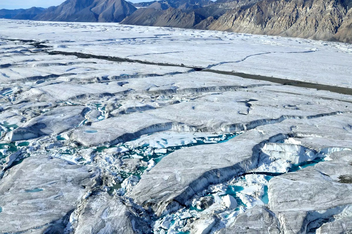 The ‘Last Ice Area’ is already disappearing | Grist