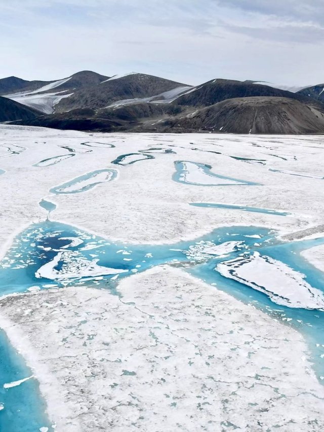 The ‘Last Ice Area’ is already disappearing | Grist