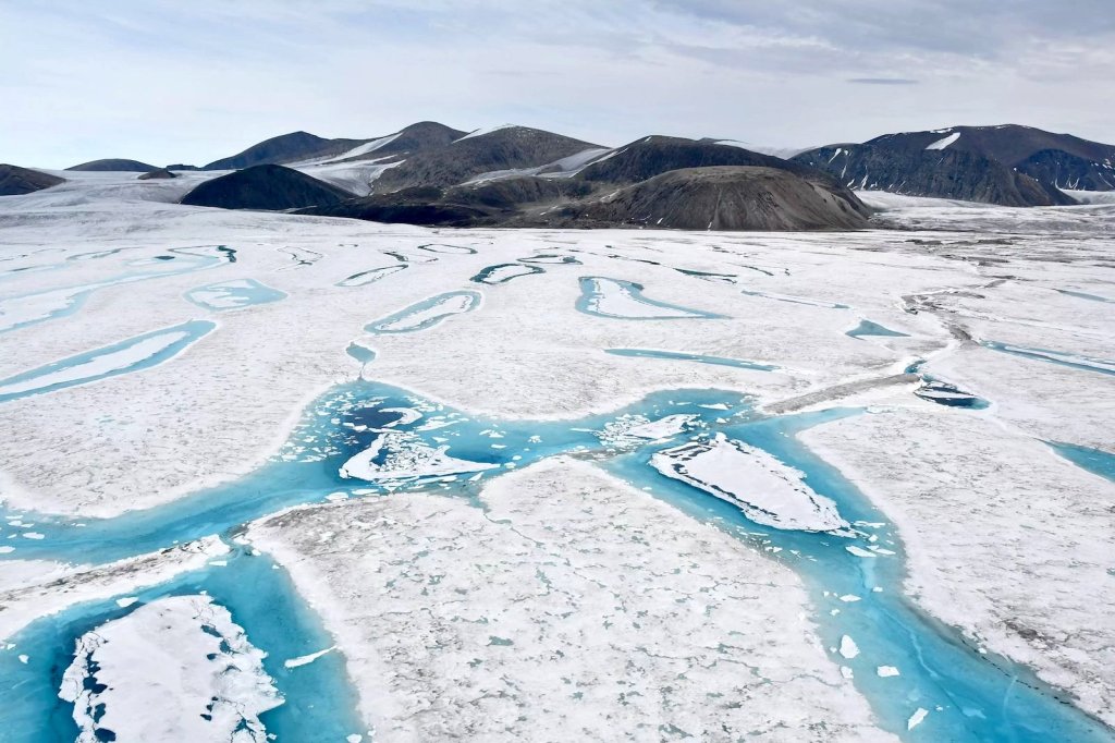 The ‘Last Ice Area’ is already disappearing | Grist