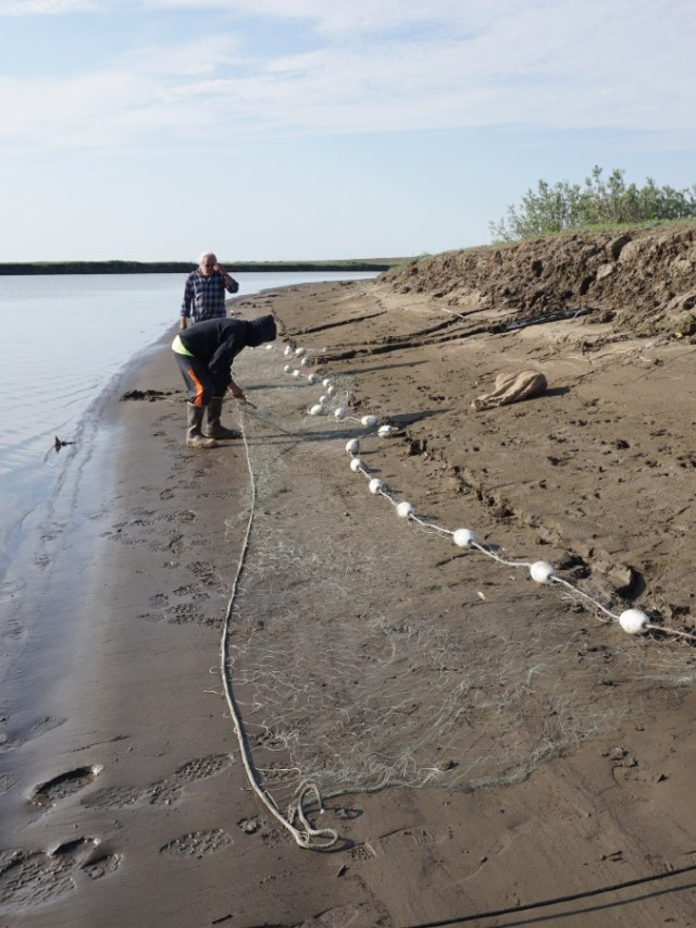 With the Willow project on the horizon, some Alaska Natives worry about ...