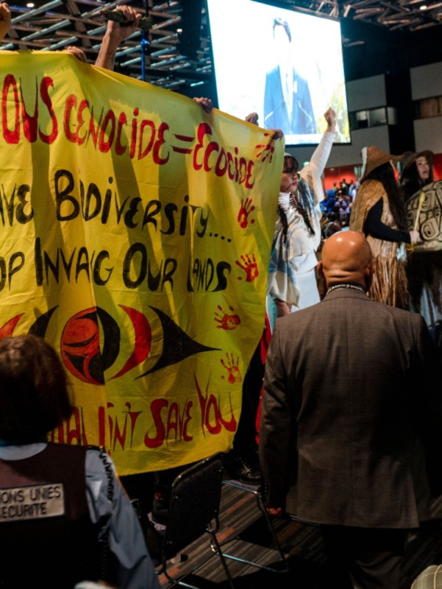 How the world’s favorite conservation model was built on colonial ...