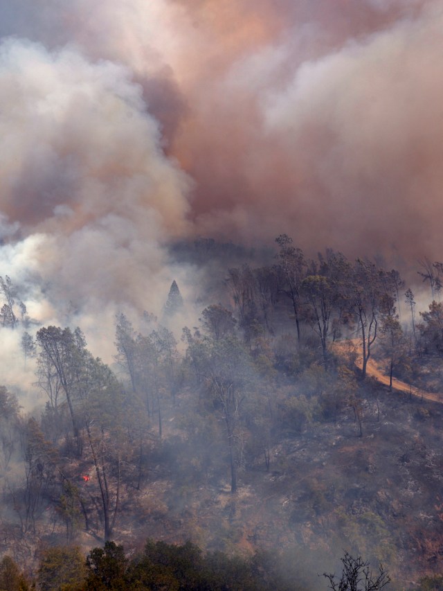 Inside climate activists’ uneasy relationship with ‘net-zero’ | Grist