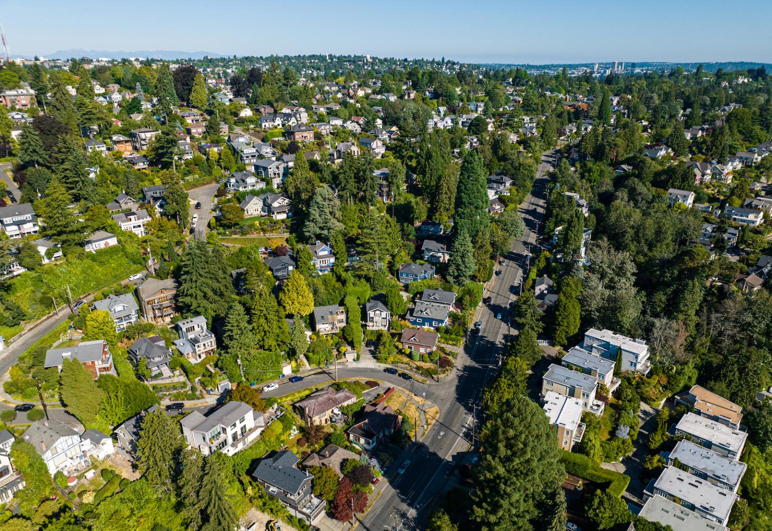 In Washington state, a new initiative to boost urban tree cover | Grist