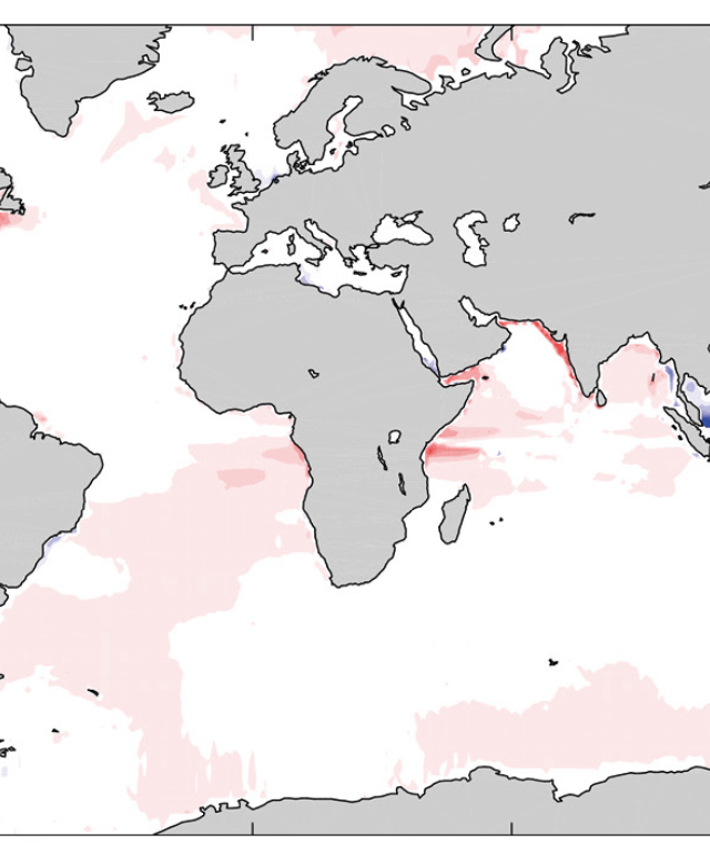 As ocean oxygen levels dip, fish face an uncertain future | Grist