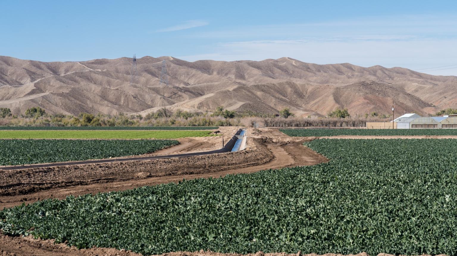 The Colorado River is nearing collapse. It’s Trump’s problem now. | Grist