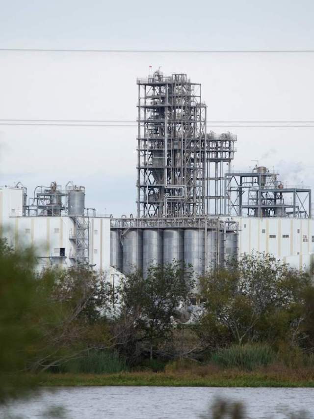 Plastic bottles harm human health at every stage of their life cycle ...