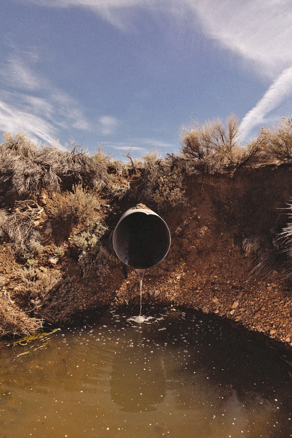 The little-known Nevada company making millions off the western drought ...