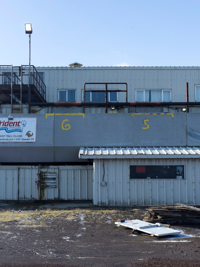 The snow crab are missing. Can a remote Alaskan village survive? | Grist