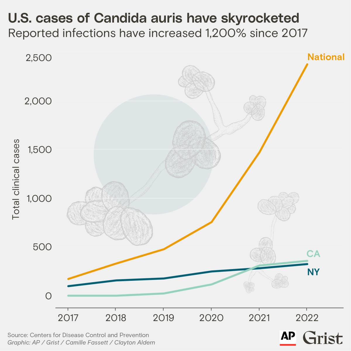 In the US, a hotter climate is helping a fungal disease spread fast | Grist